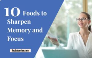 Top Foods to Sharpen Memory and Focus - Healthful Choices, Happy Lives