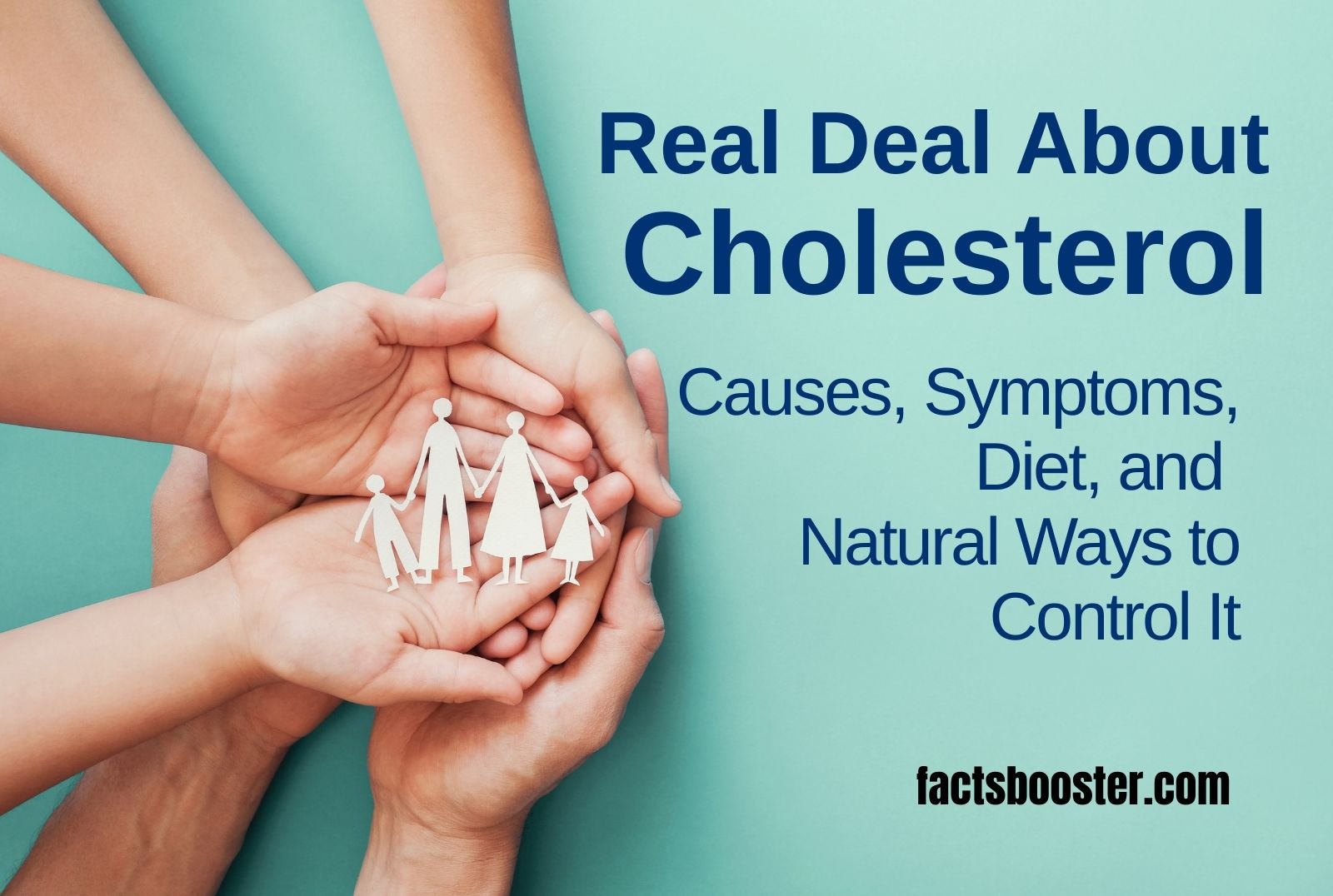 Real Deal About Cholesterol: Causes, Symptoms, Diet, and Natural Ways ...